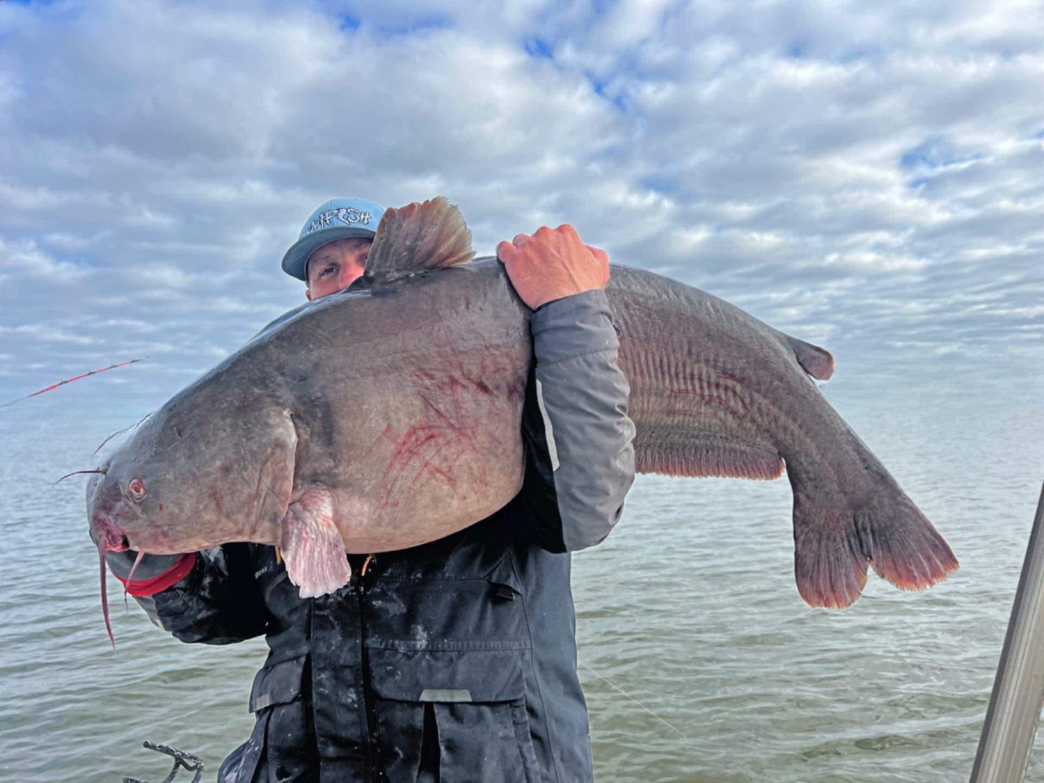 KATFISH Clothing – Katfish Clothing